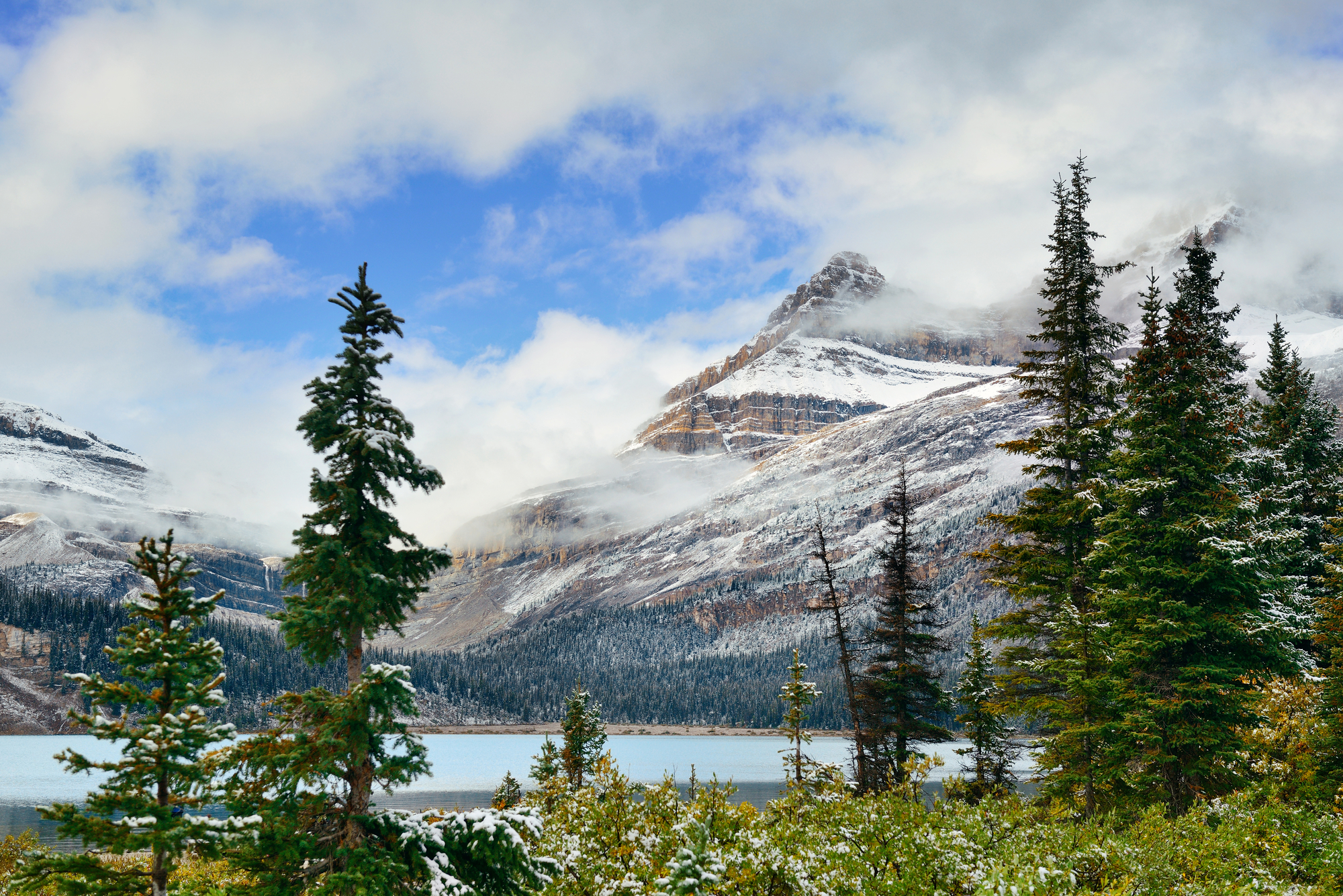 Alberta PNP: How to Immigrate Without A Job Offer? – Visaca